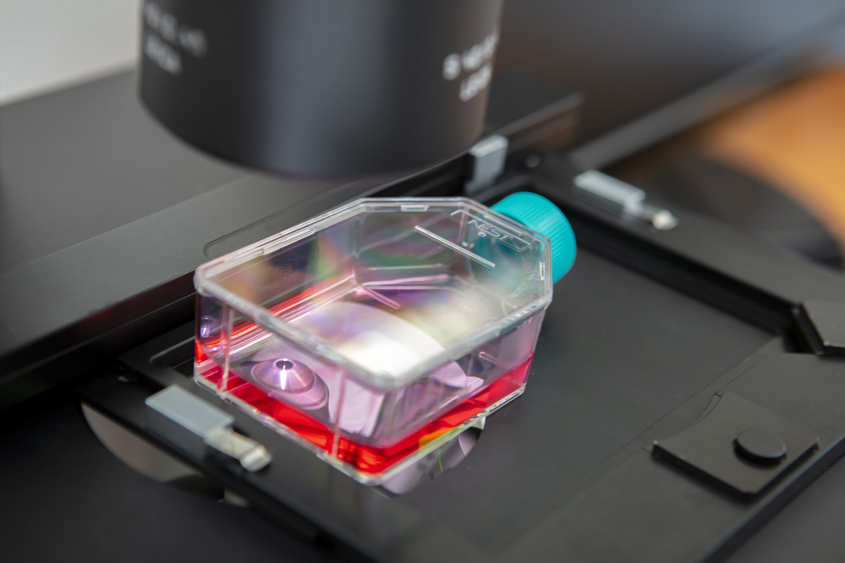 The laboratory and its technical platforms - Smaltis
